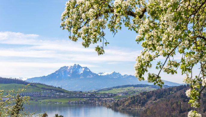 Que faire et que voir à Zoug, bourg médiéval au bord du lac